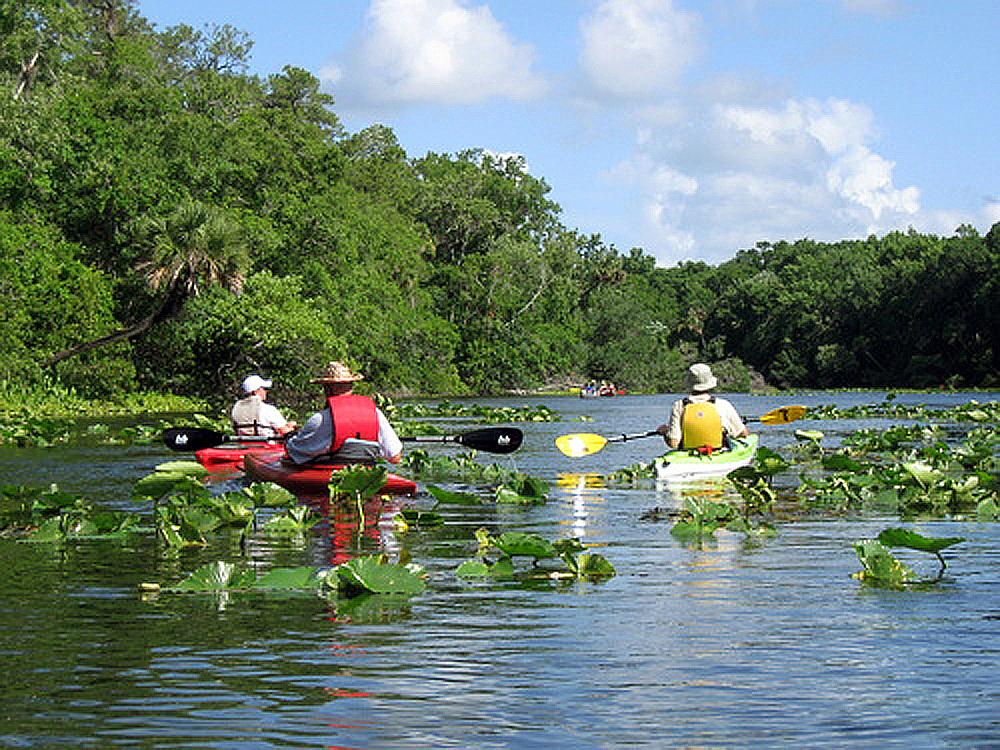 Alexander Springs State Canoe Trail