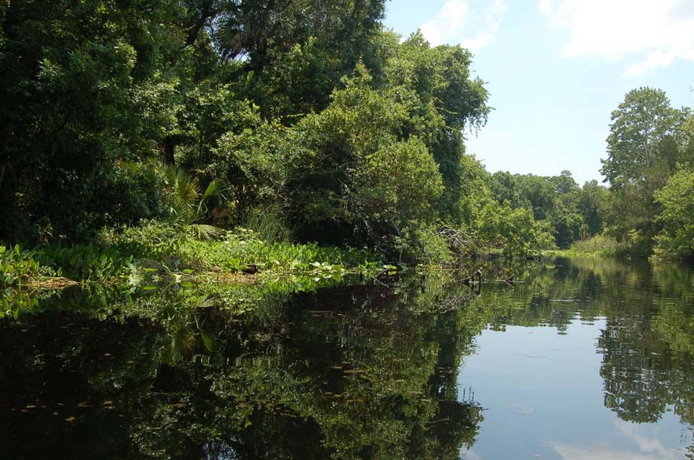 Alexander Springs State Canoe Trail