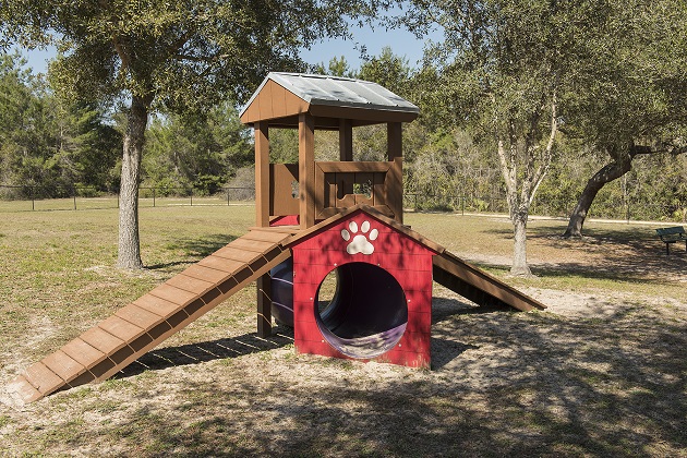 Diy Dog Park Equipment