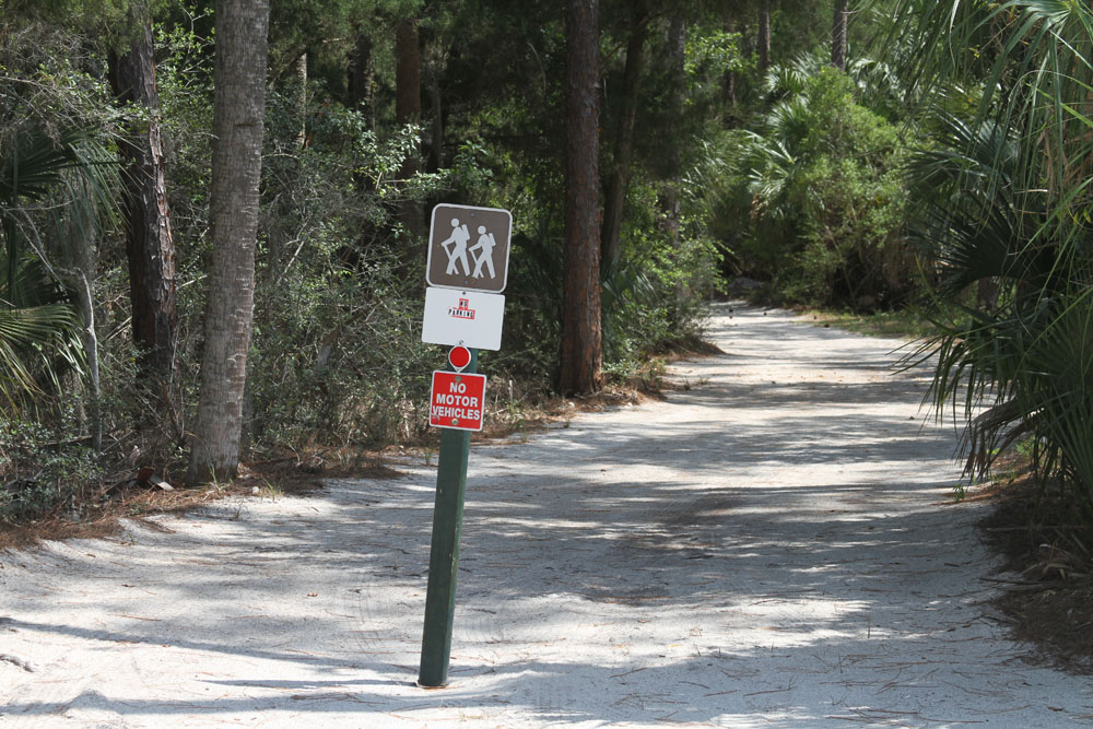 Doris Leeper Spruce Creek Preserve