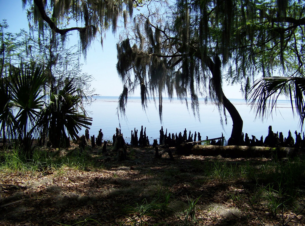 Lake George State Forest