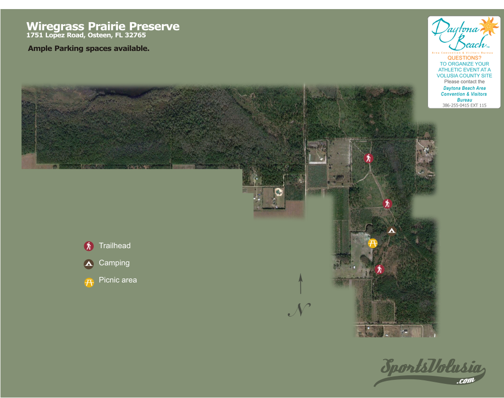 Wiregrass Prairie Preserve